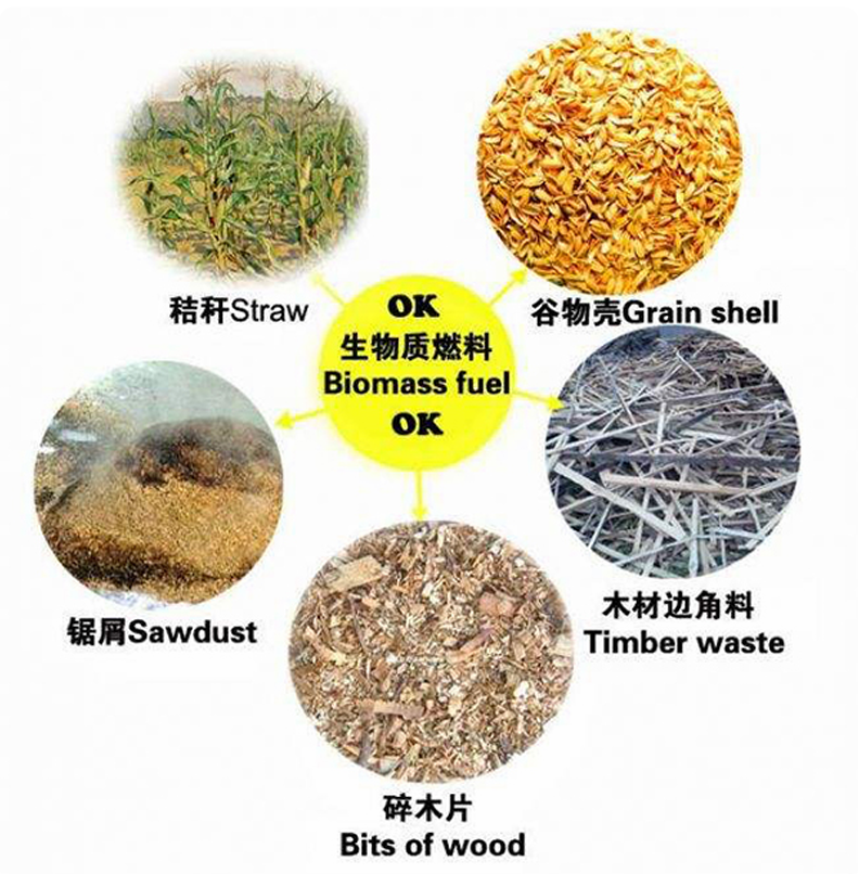 Biomass Fuel Combustion Method Selection - Taishan Group